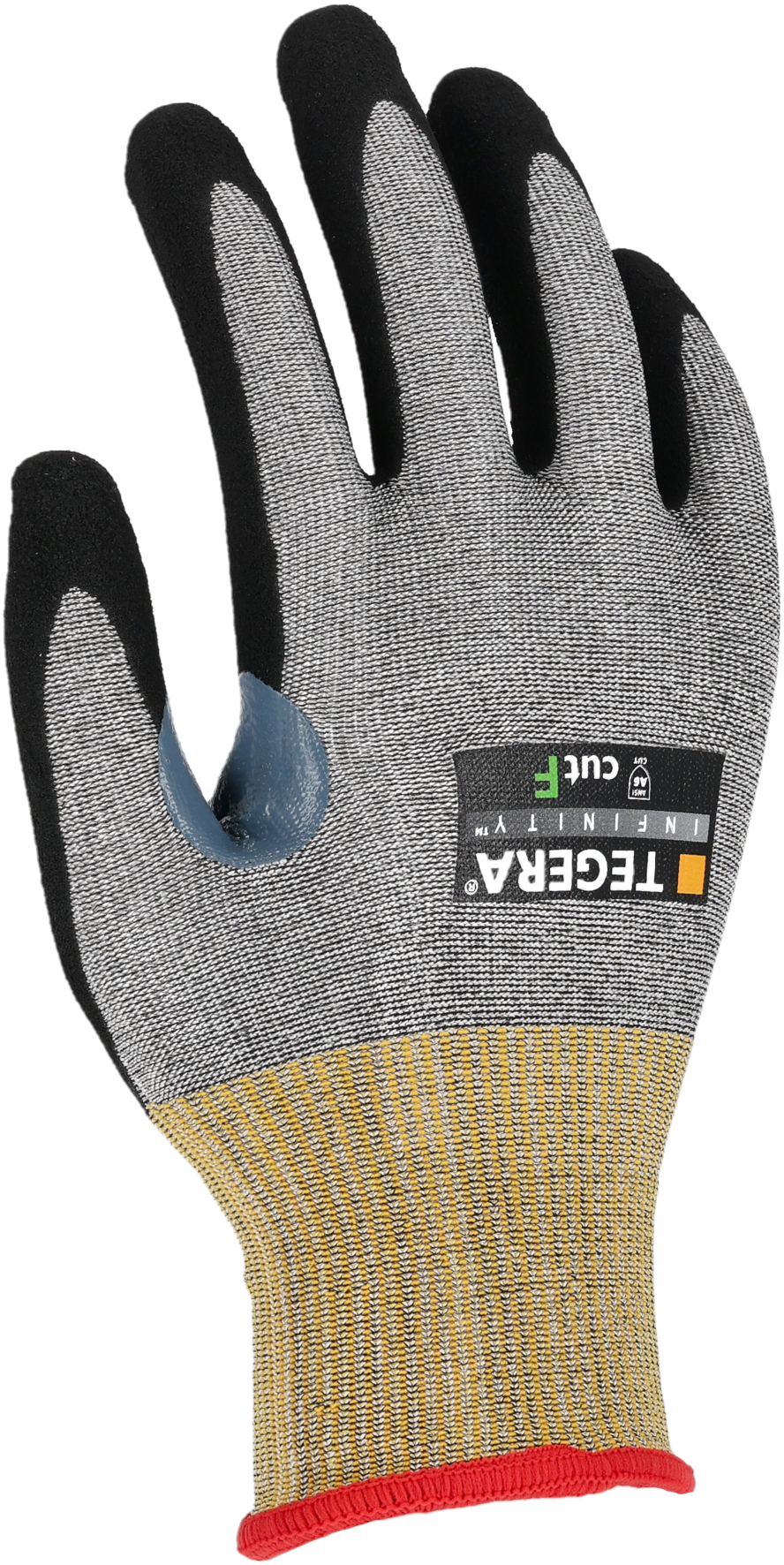 TEGERA® INFINITY 8815