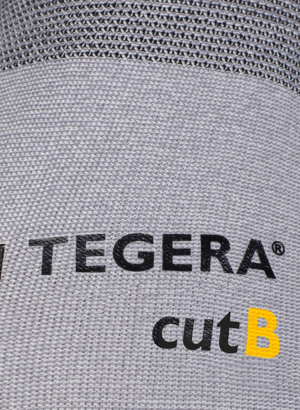 TEGERA® 909