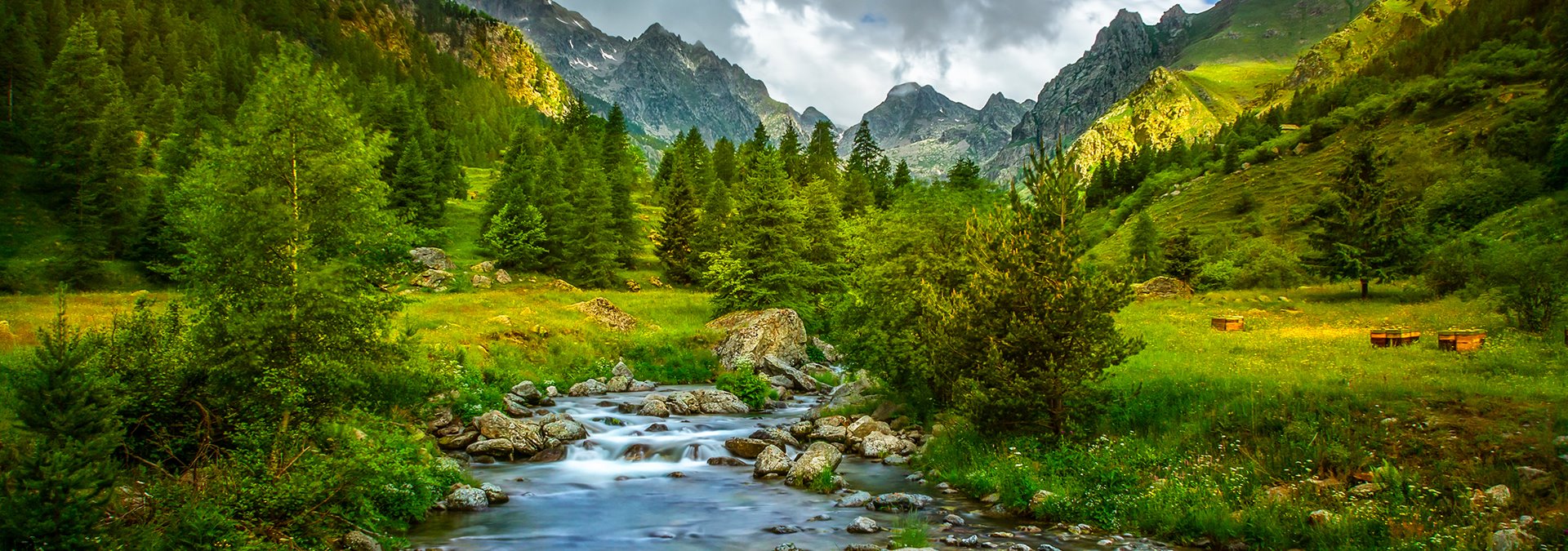 Primary Sector - Product recommendations