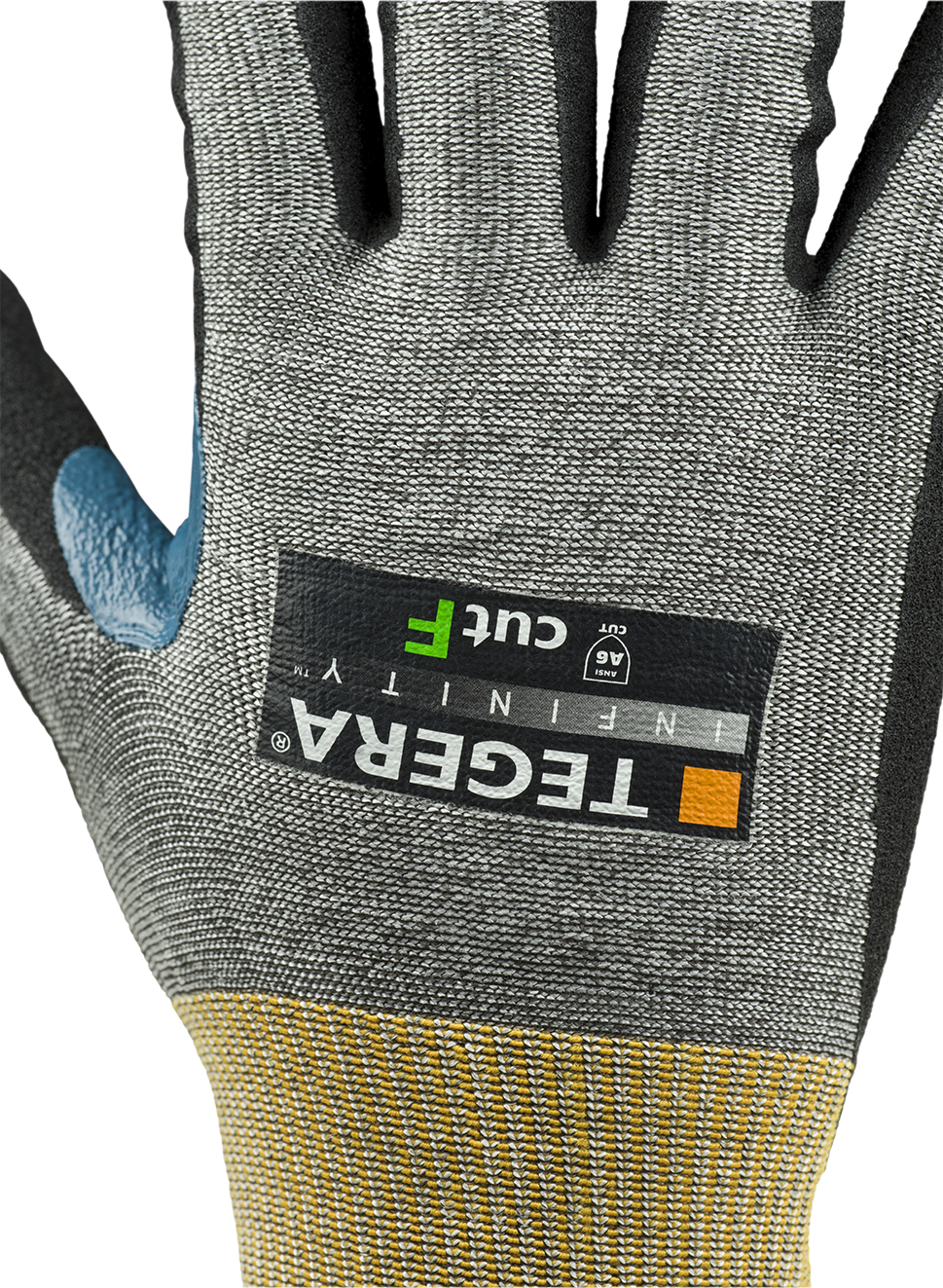 TEGERA® INFINITY 8815